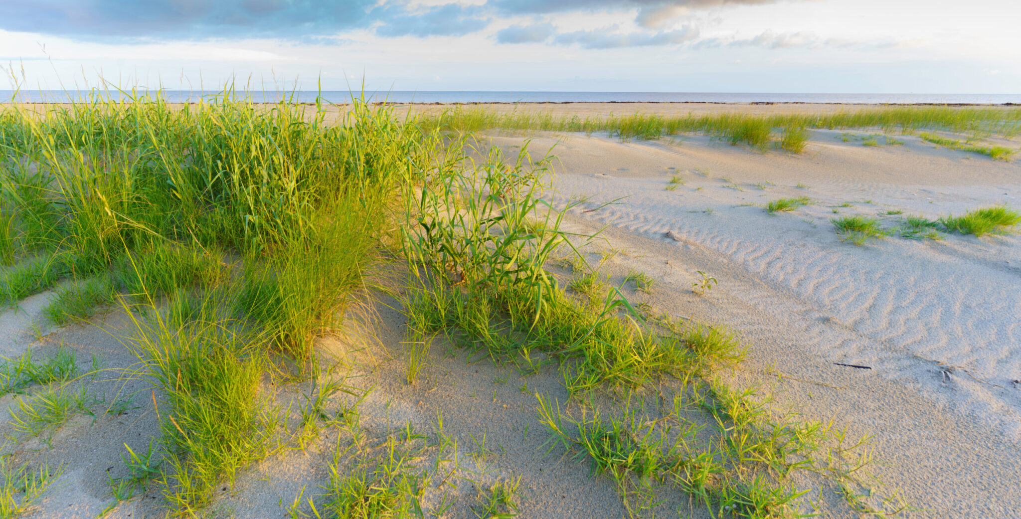 15 Exemplos de Planícies