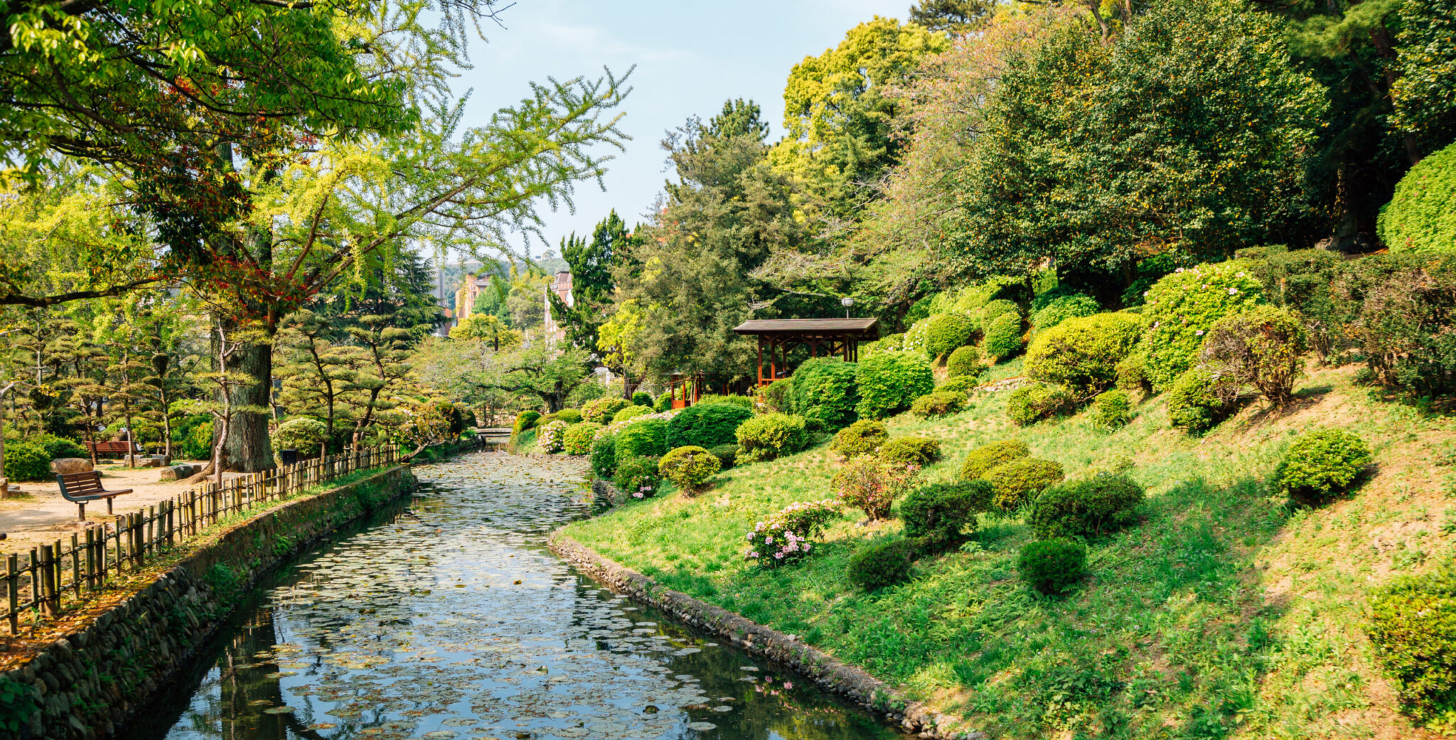 15 Ejemplos de Llanuras