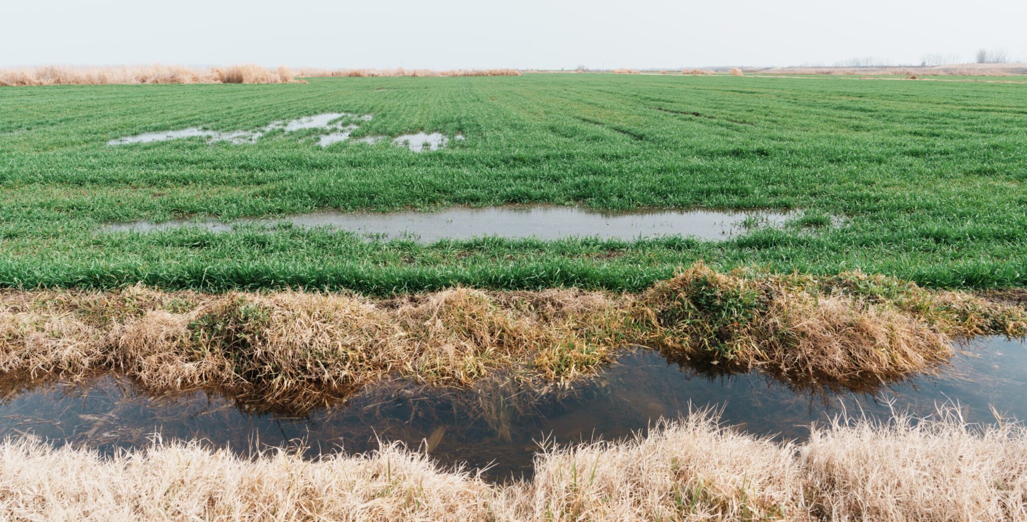 15 Ejemplos de Llanuras