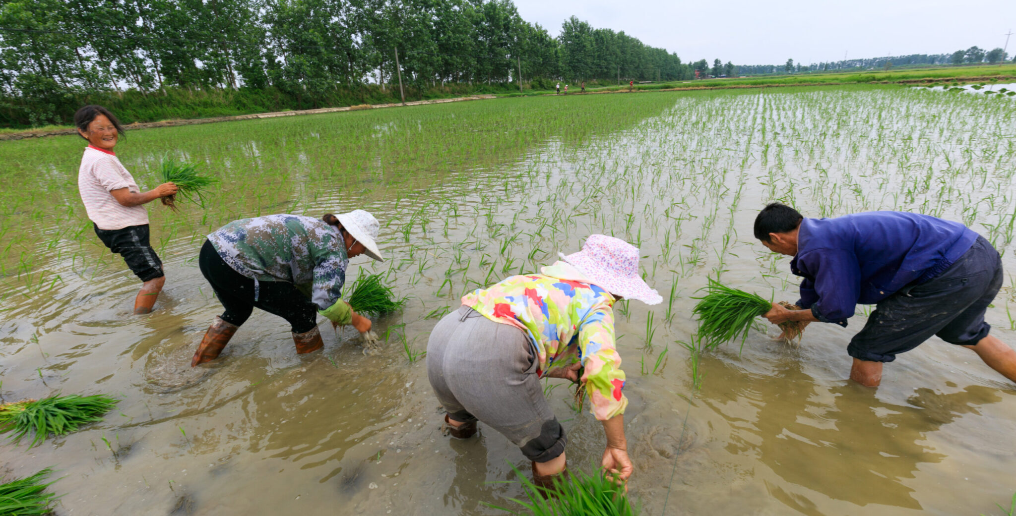 15 Exemplos de Planícies
