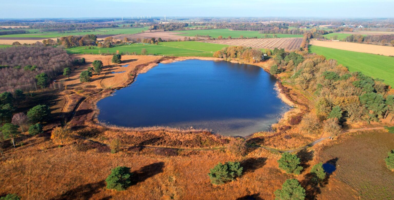 15 Ejemplos de Llanuras