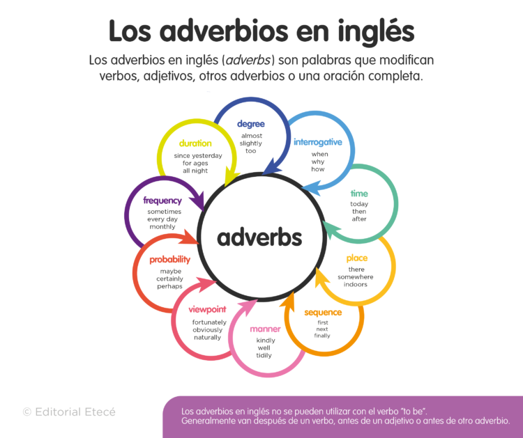 30 Ejemplos de Adverbios de Frecuencia en Inglés