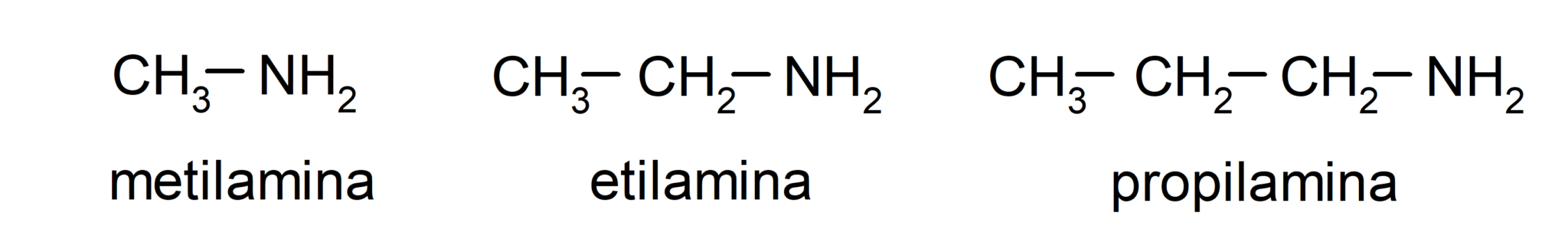 20 Ejemplos de Aminas