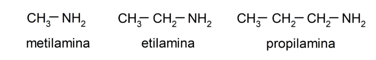 20 Ejemplos de Aminas
