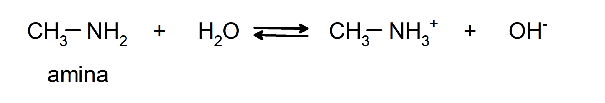 20 Ejemplos de Aminas