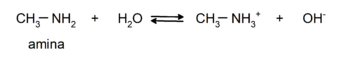 20 Ejemplos de Aminas