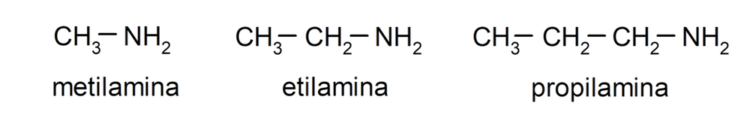 20 Ejemplos de Aminas