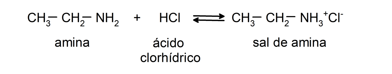 20 Ejemplos de Aminas