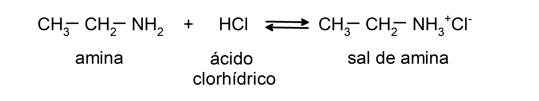 20 Ejemplos de Aminas