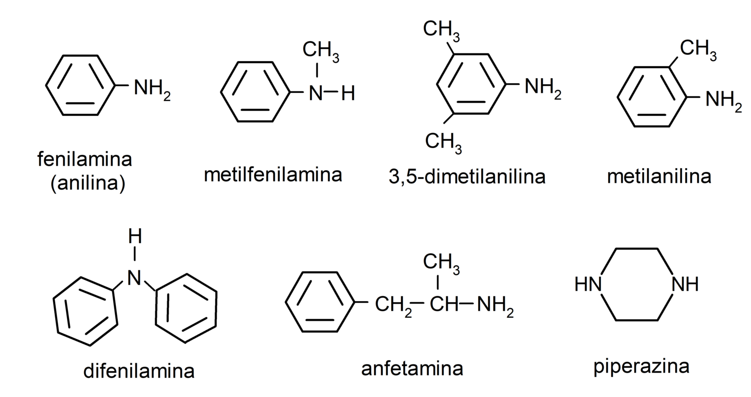 20 Ejemplos de Aminas