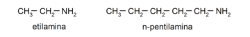 20 Ejemplos de Aminas