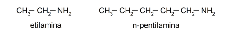 20 Ejemplos de Aminas