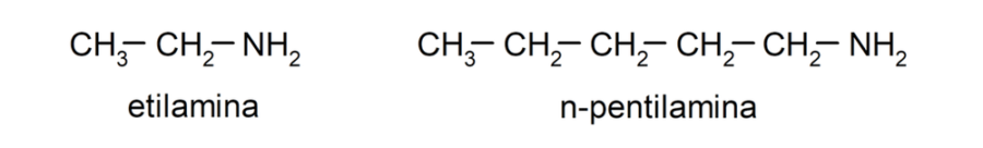 20 Ejemplos de Aminas