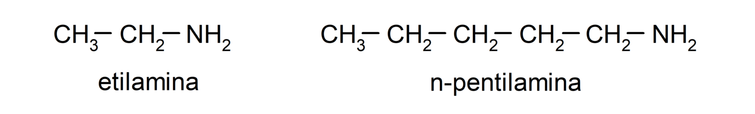 20 Ejemplos de Aminas