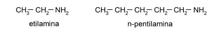 20 Ejemplos de Aminas