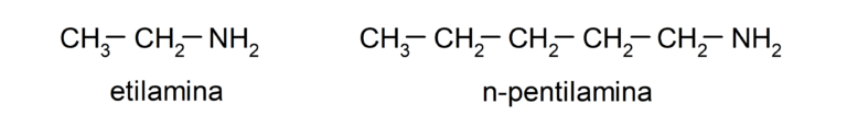 20 Ejemplos de Aminas