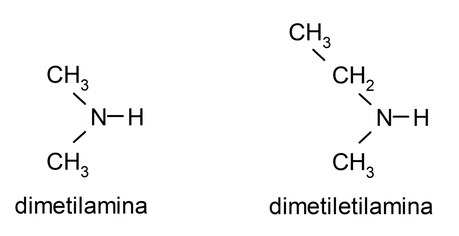 20 Ejemplos de Aminas