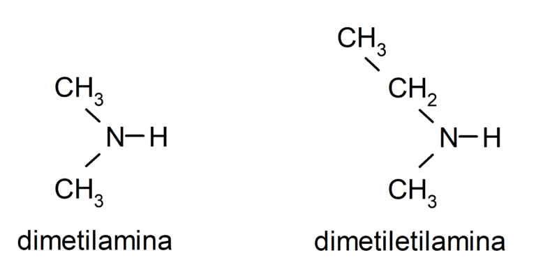 20 Ejemplos de Aminas