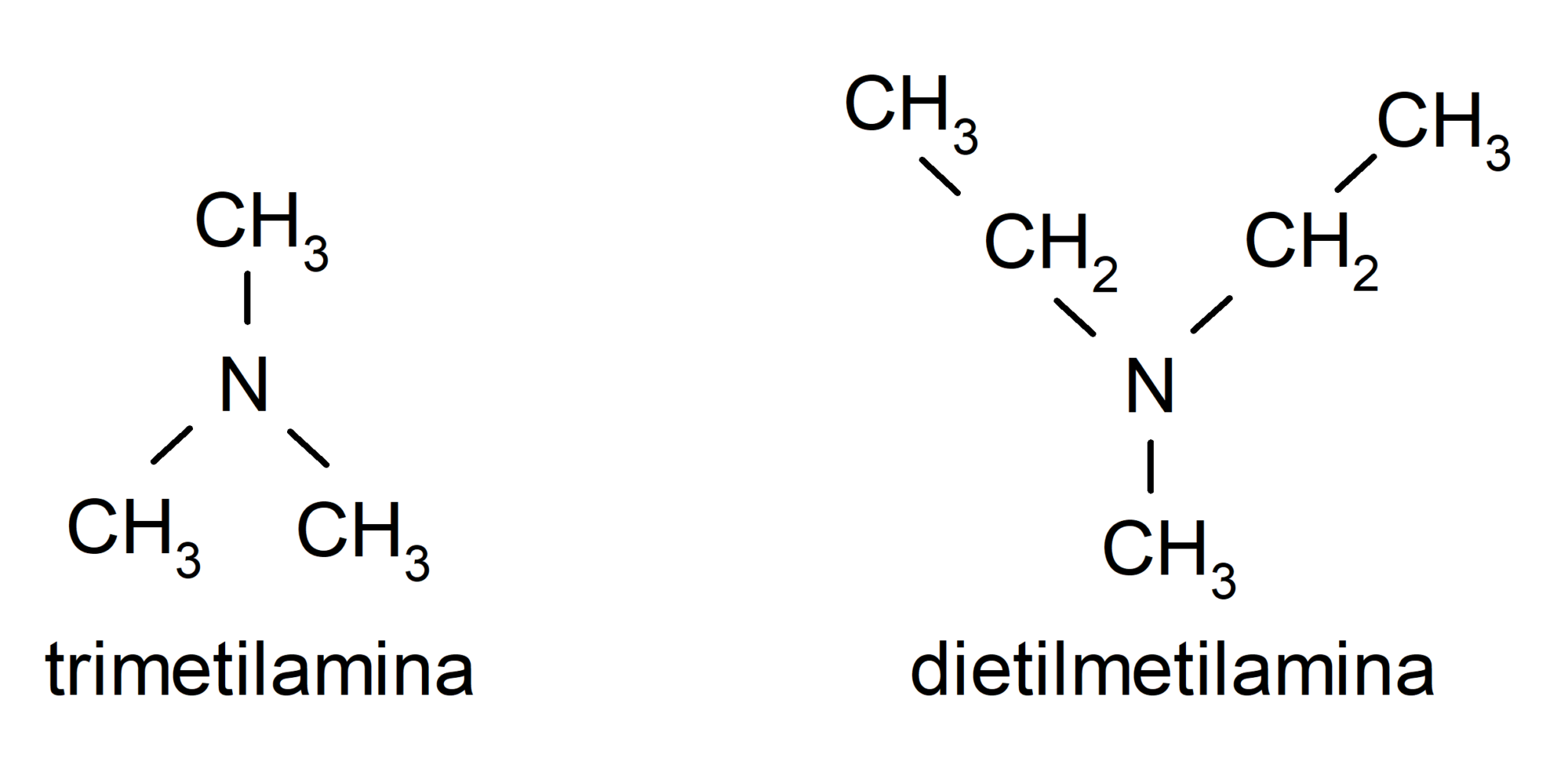 20 Ejemplos de Aminas