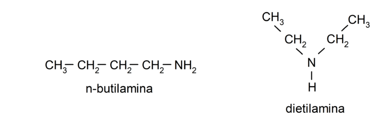 20 Ejemplos de Aminas
