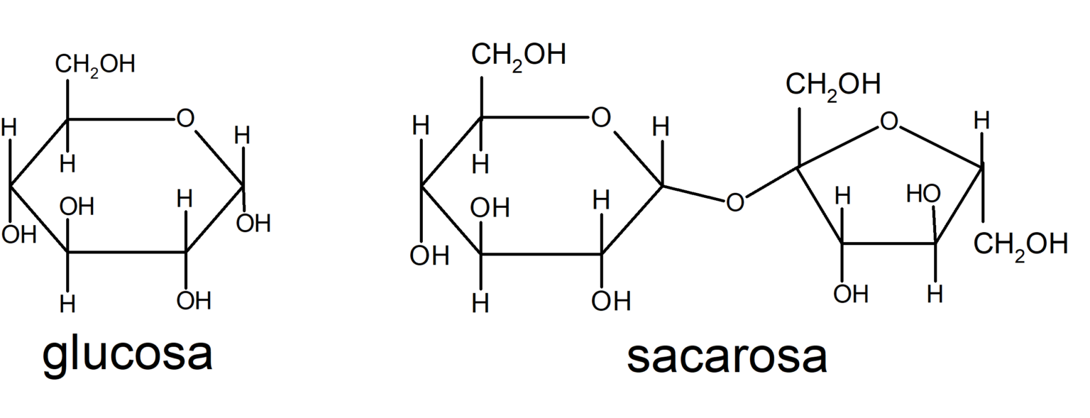 20 Ejemplos de Azúcares