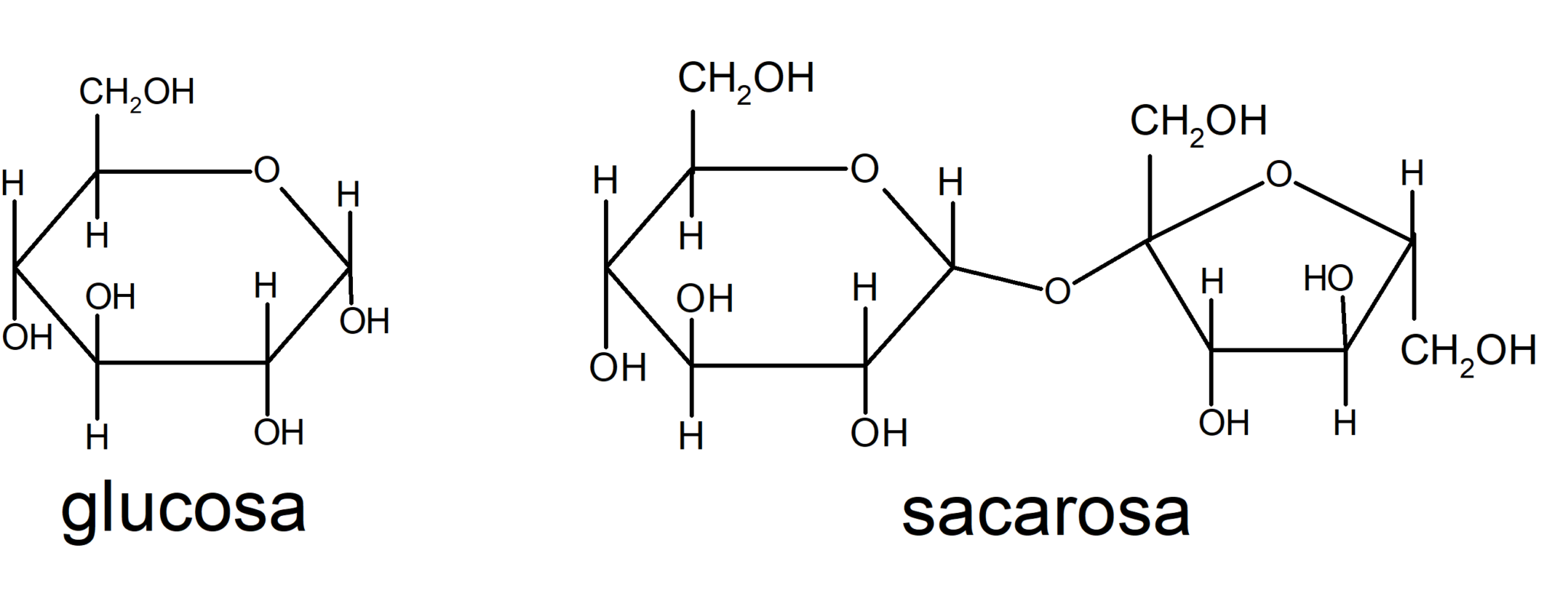 20 Ejemplos de Azúcares