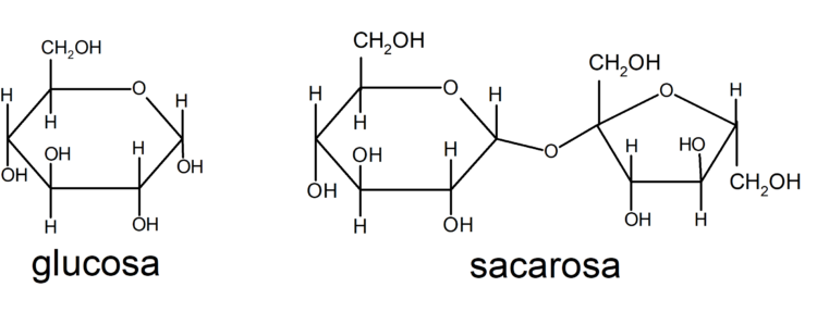 20 Ejemplos de Azúcares