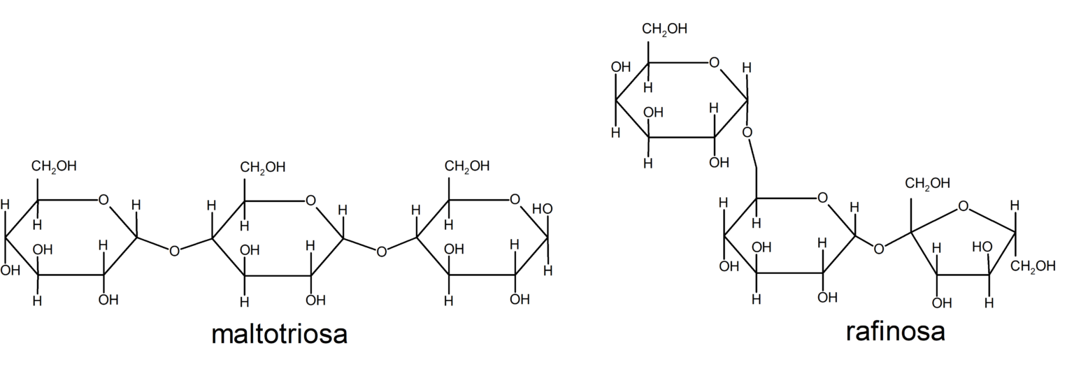 20 Ejemplos de Azúcares