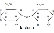 20 Ejemplos de Oligosacáridos
