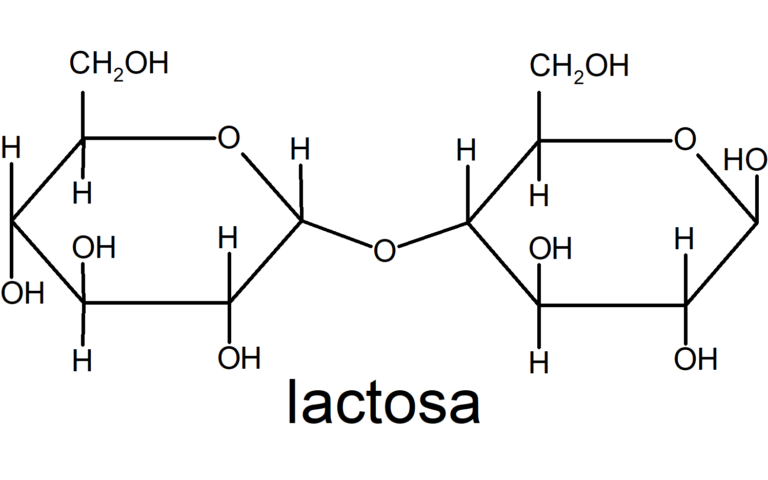 20 Ejemplos de Oligosacáridos
