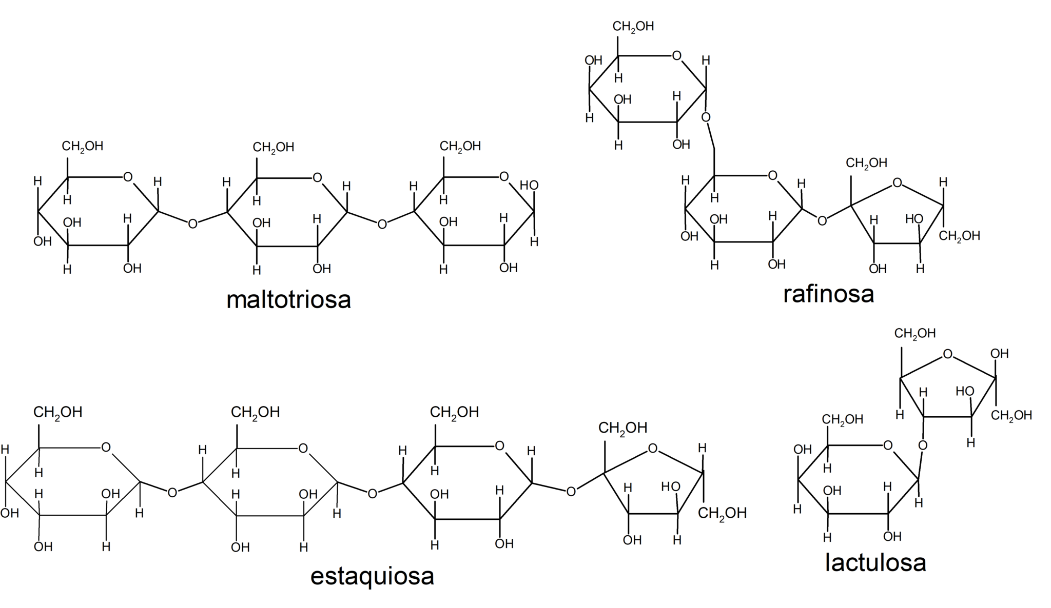 20 Ejemplos de Oligosacáridos