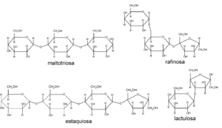 20 Ejemplos de Oligosacáridos