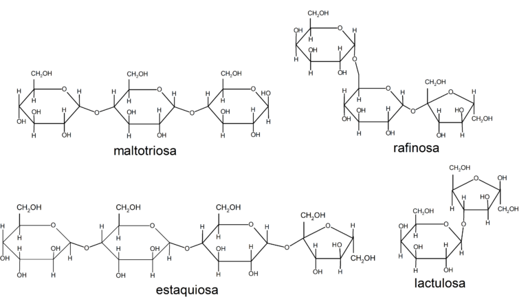 20 Ejemplos de Oligosacáridos