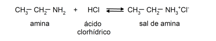 20 Ejemplos de Aminas