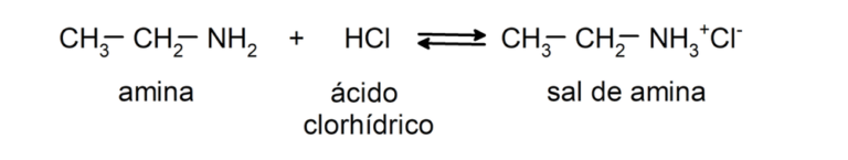 20 Ejemplos de Aminas