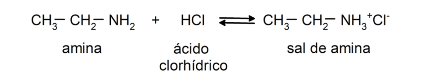 20 Ejemplos de Aminas
