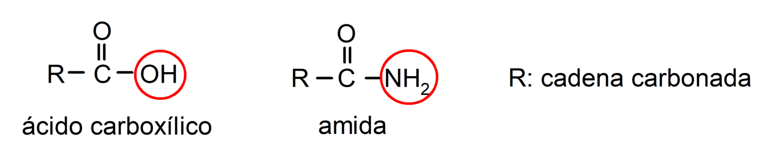 20 Ejemplos de Amidas