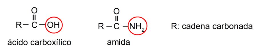 20 Ejemplos de Amidas