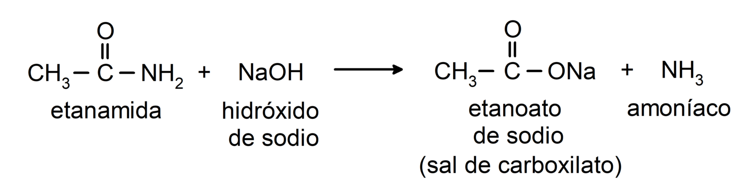 20 Ejemplos de Amidas