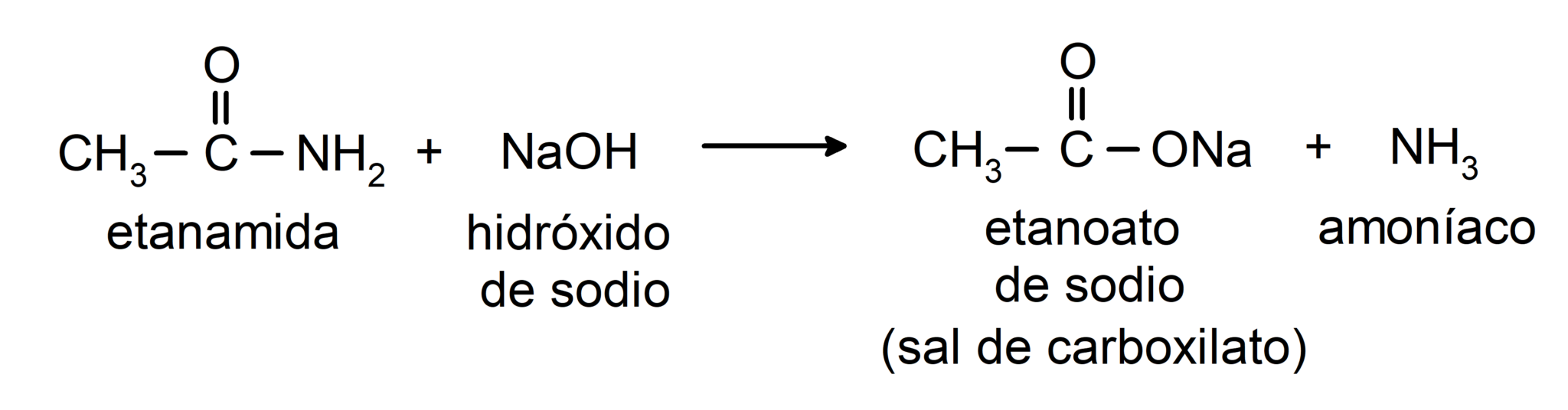 20 Ejemplos de Amidas