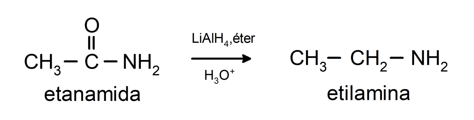 20 Ejemplos de Amidas