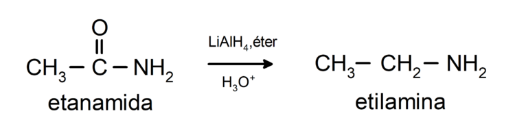 20 Ejemplos de Amidas