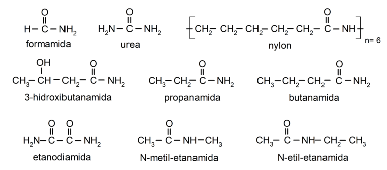 20 Ejemplos de Amidas
