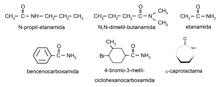 20 Ejemplos de Amidas
