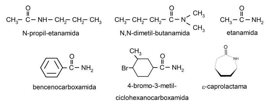 20 Ejemplos de Amidas