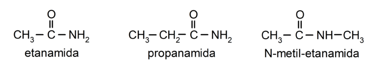 20 Ejemplos de Amidas