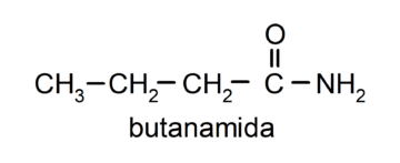 20 Ejemplos de Amidas