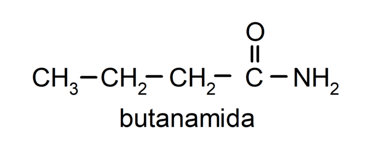 20 Ejemplos de Amidas