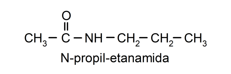20 Ejemplos de Amidas