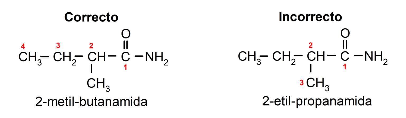 20 Ejemplos de Amidas